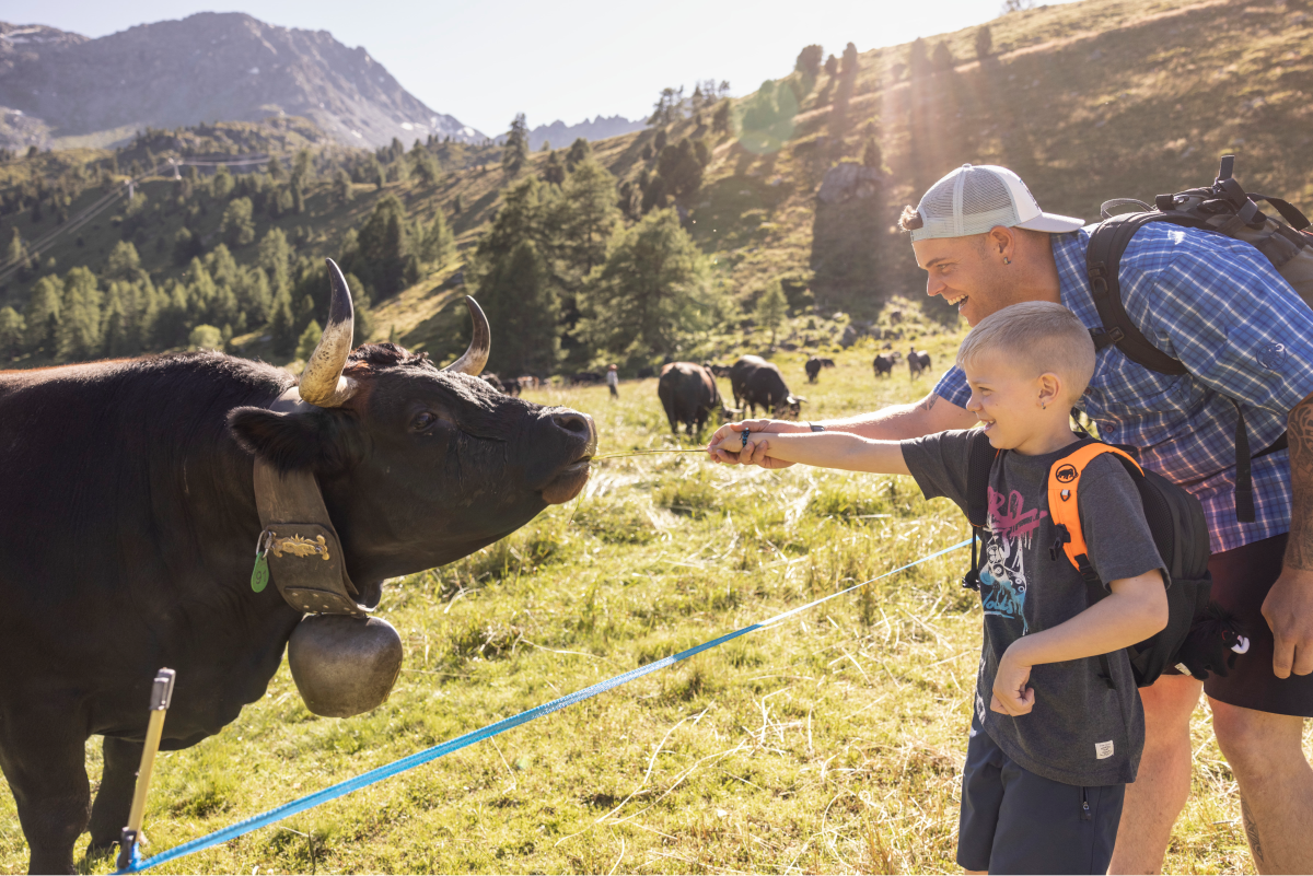 10 Tips on how to settle into a New Country Successfully | My Journey ...